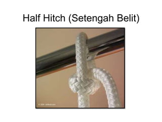 Half hitch (setengah belit) | PPTX