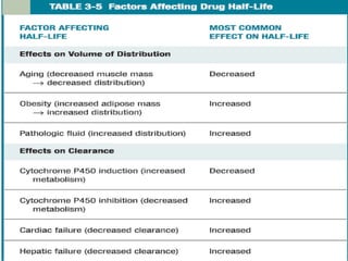 Half life ppt | PPTX