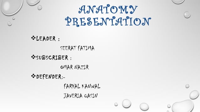 Respiratory system(Anatomy) | PPT