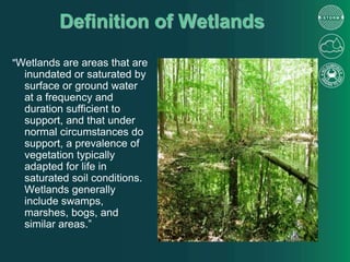 Maryland Wetland Law and Compliance | PDF