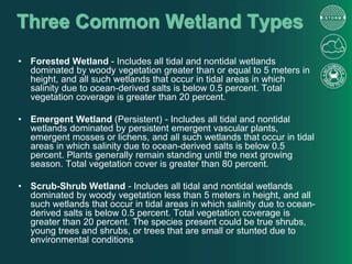 Maryland Wetland Law and Compliance | PDF