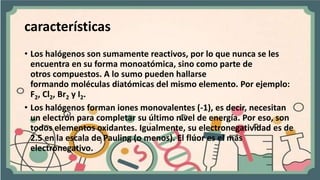 Halógenos.pptx