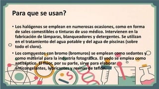 Halógenos.pptx