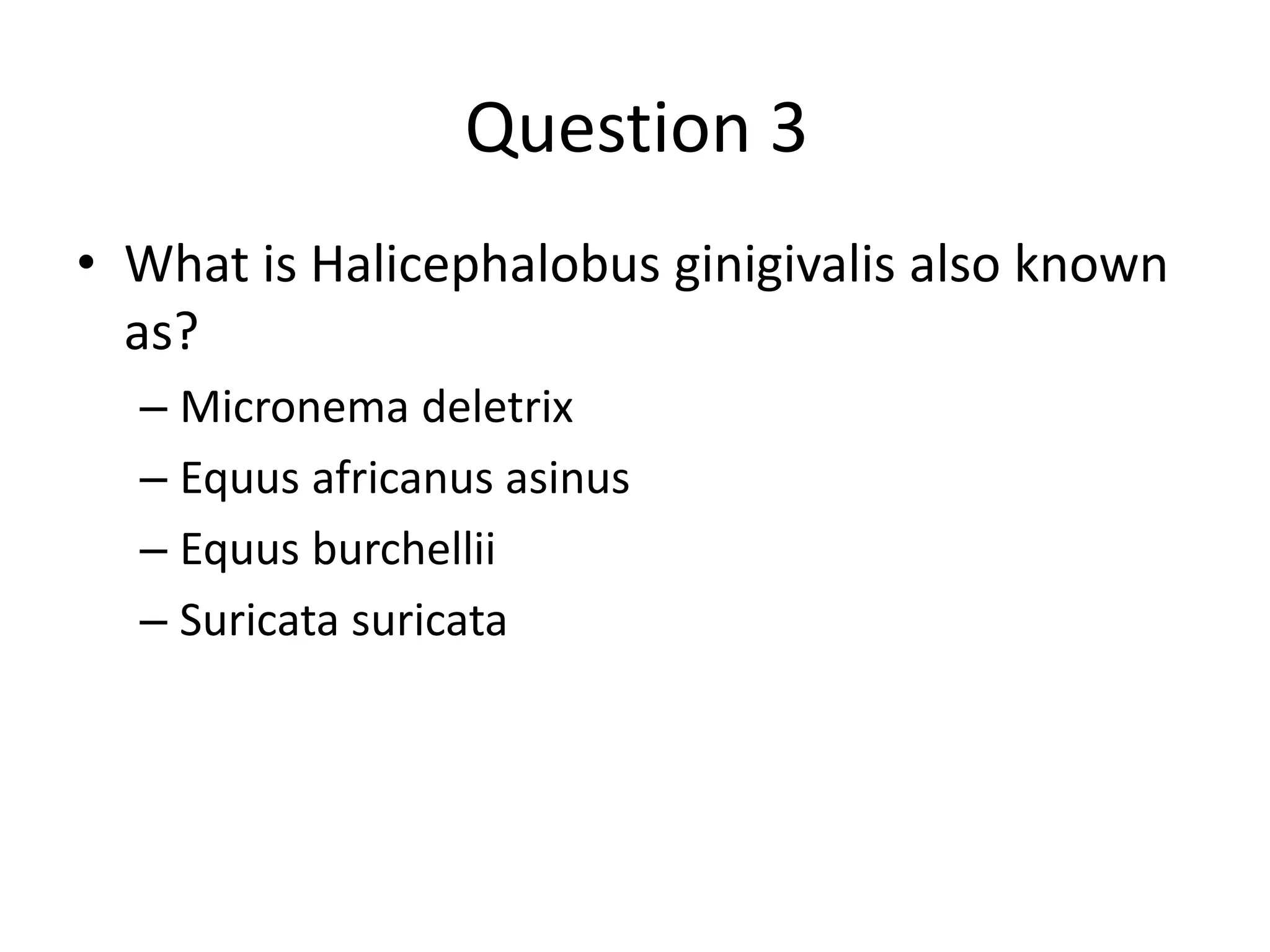 Halicephalobus gingivalis | PPTX