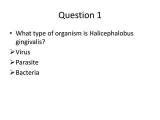 Halicephalobus gingivalis | PPTX