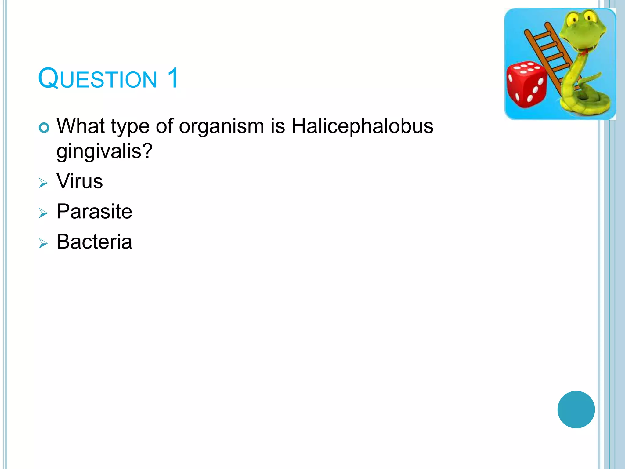 Halicephalobus gingivalis snakes and ladders | PPTX
