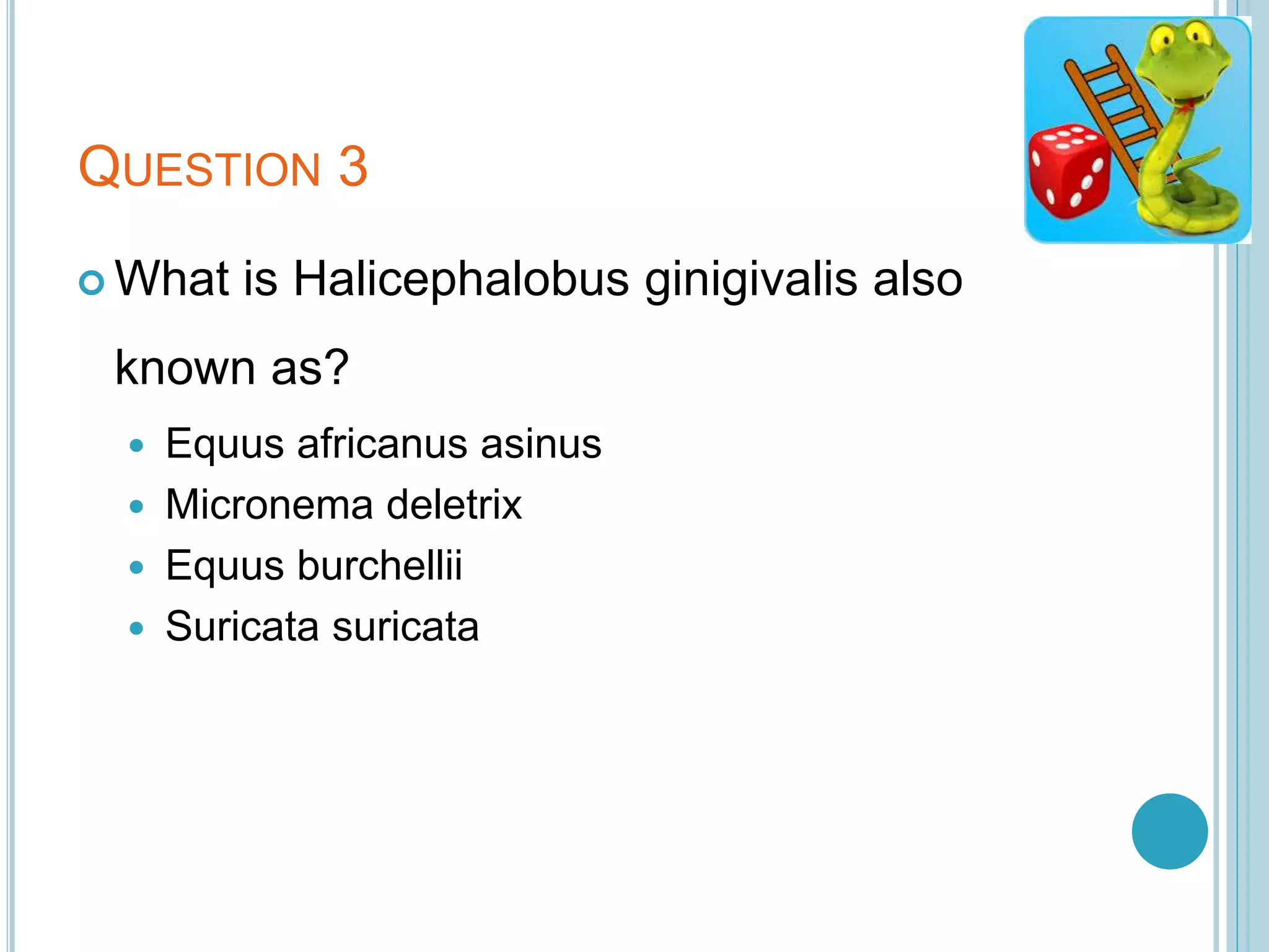 Halicephalobus gingivalis snakes and ladders | PPTX