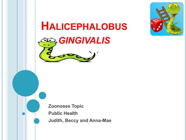 Halicephalobus gingivalis snakes and ladders | PPT