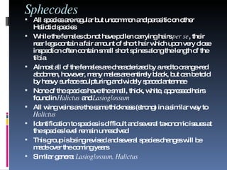 Identification of Eastern North American Bee Genera in the Family ...