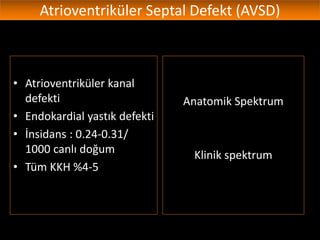 ASD,AVSD ,VSD | PPT