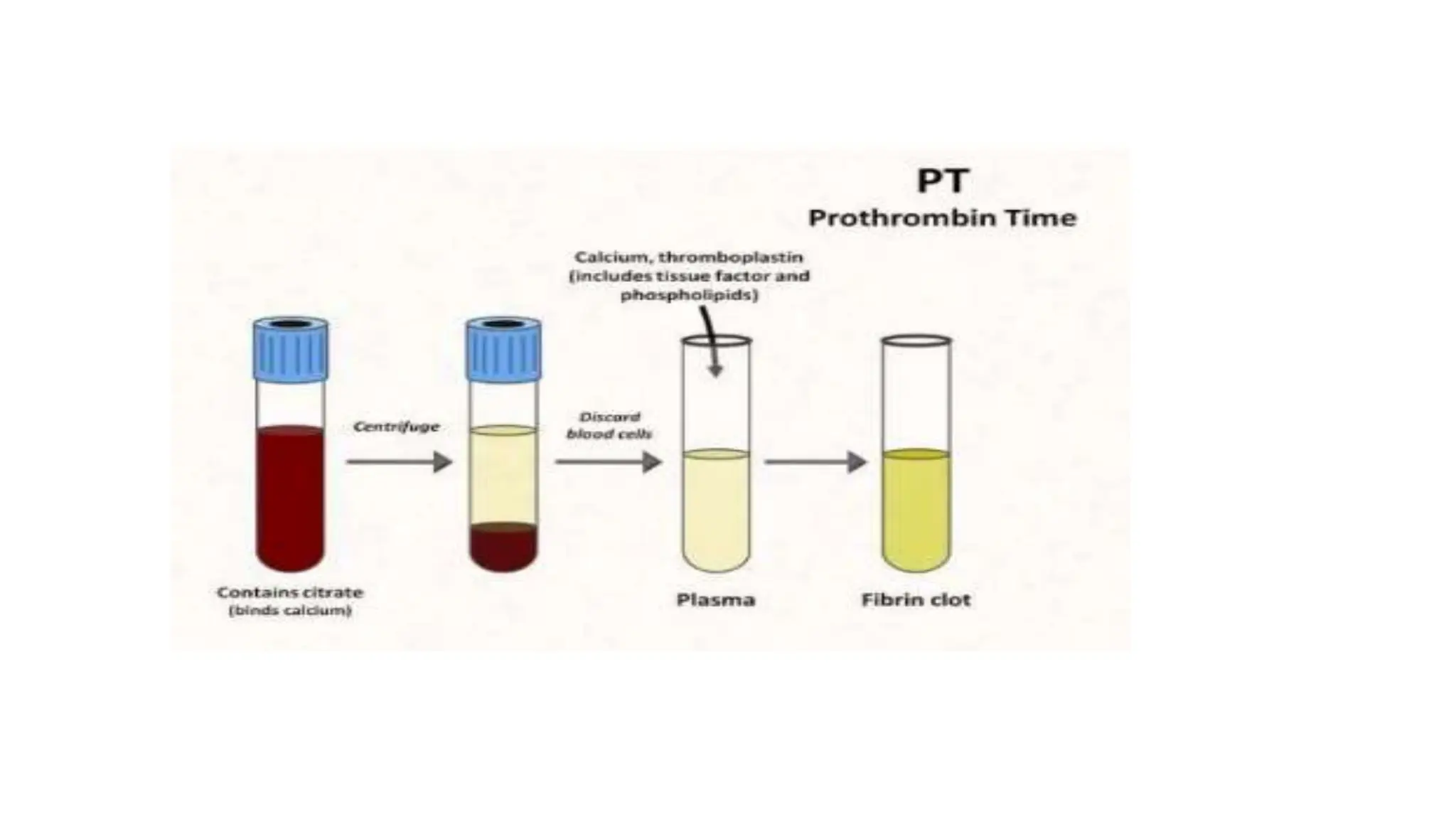Blood clotting and tests for blood clotting | PPTX