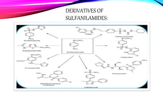 Anti-Bacterial Sulfanilamide | PPT