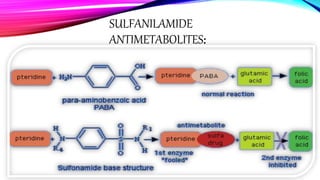 Anti-Bacterial Sulfanilamide | PPT