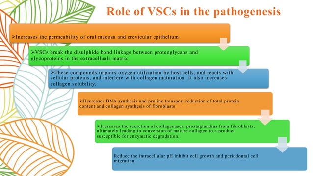 Halitosis ORAL MALODOR PERIODONTICSNTICS | PPTX | Lung and Respiratory ...