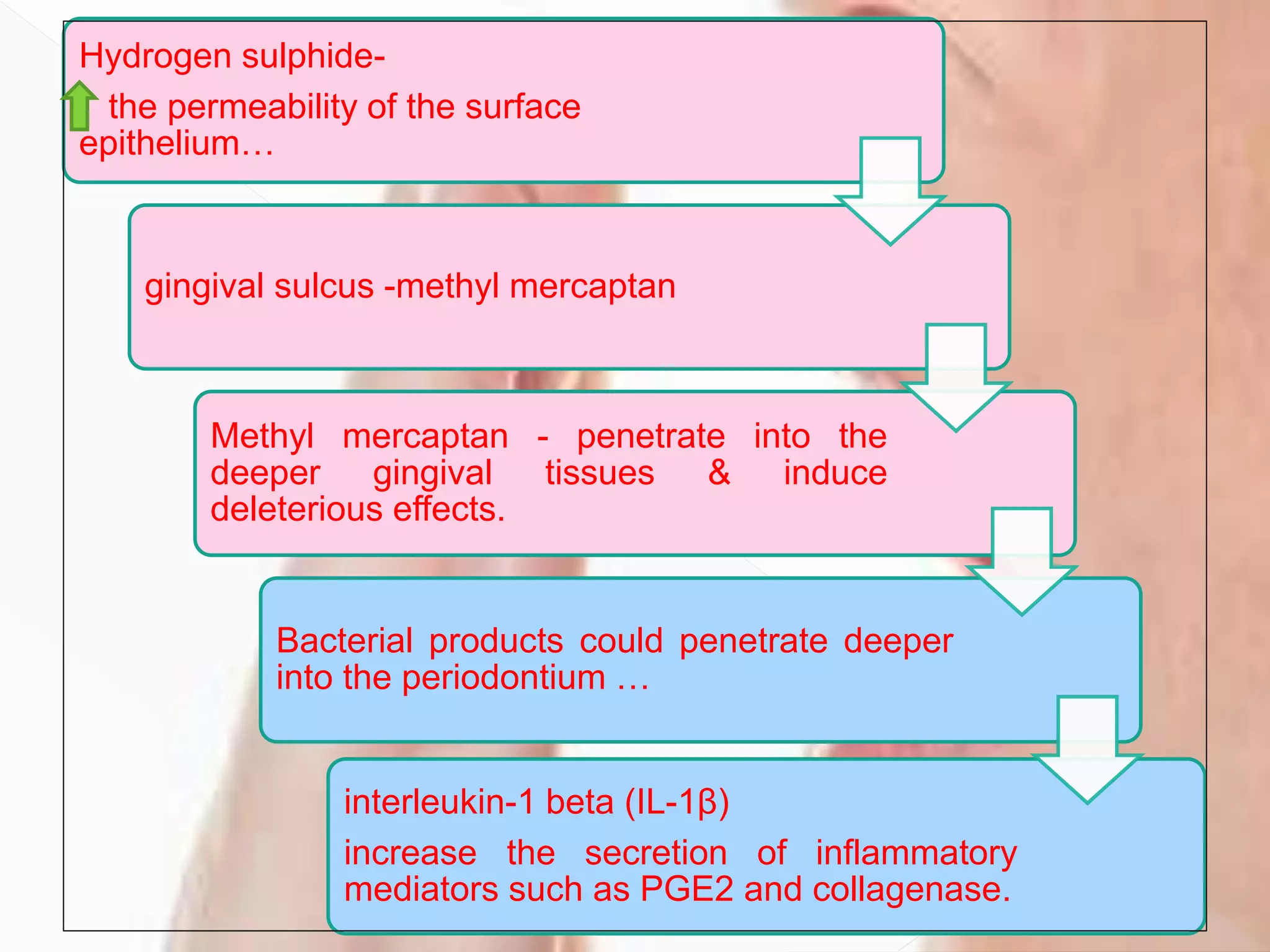 Halitosis DR SINDHURA.pptx
