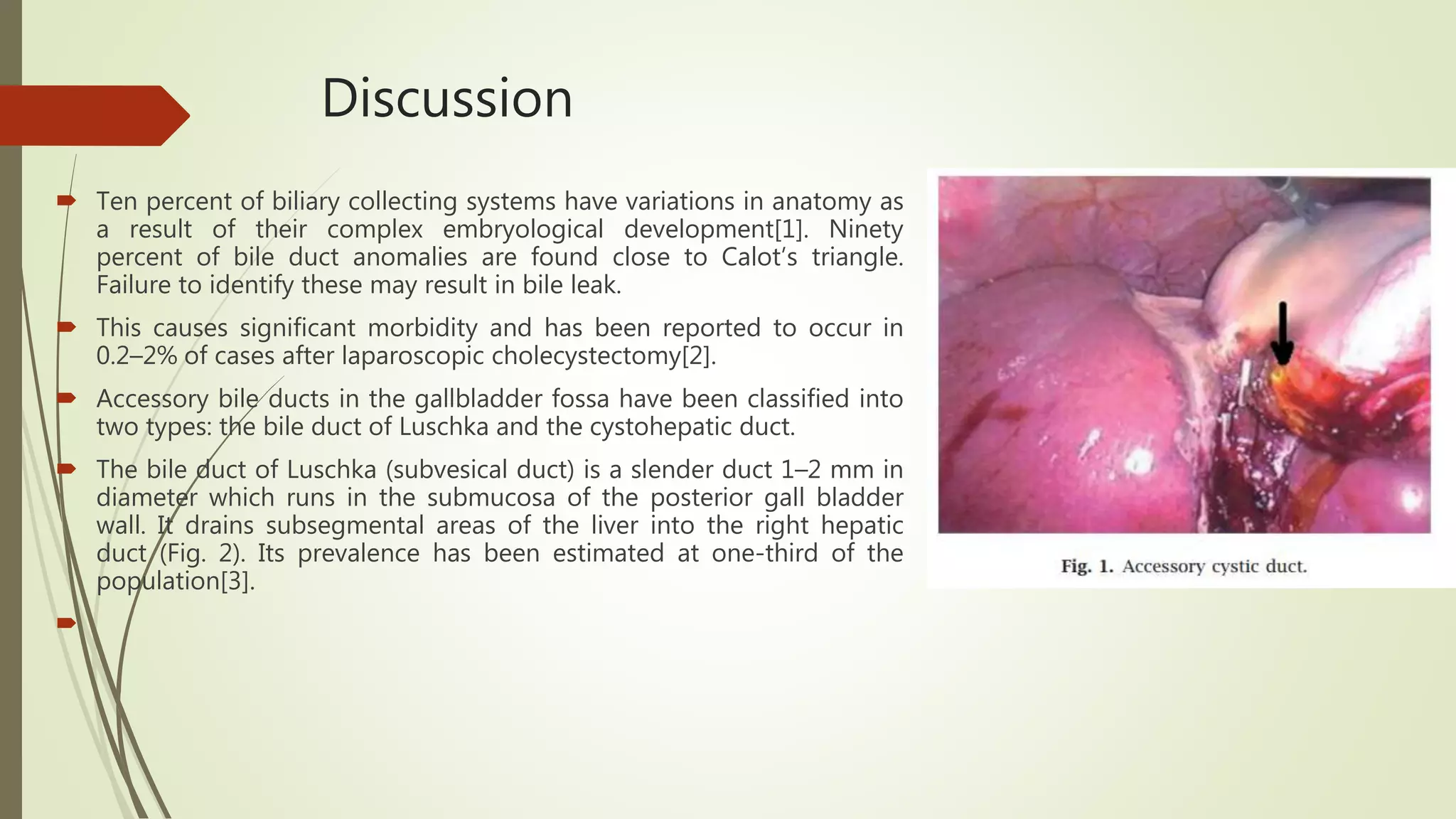 Haliunaa subvesical bile duct | PPT