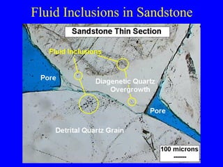 Fluid Inclusion Application in Petroleum E&P | PDF