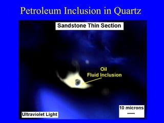 Fluid Inclusion Application in Petroleum E&P | PDF