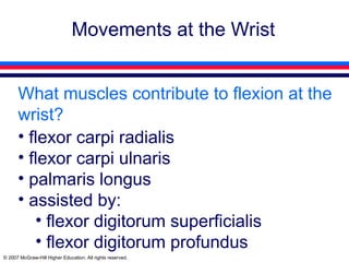 Comprehensive Biomechanics of the Human Upper Extremity: Joints ...