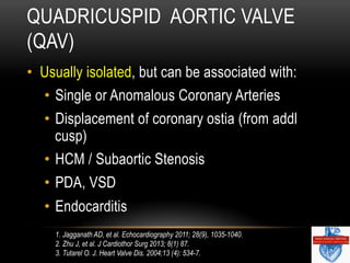 Hallett aortic valve cases nasci_2015_handout | PPT