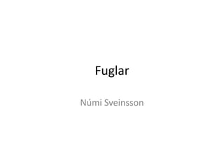 númi Hallgrímur pétursson | PPTX