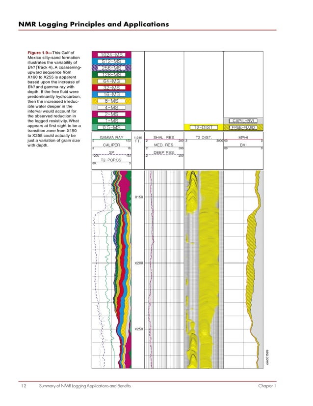 NMR & logging principles-and-applications by halliburton | PDF