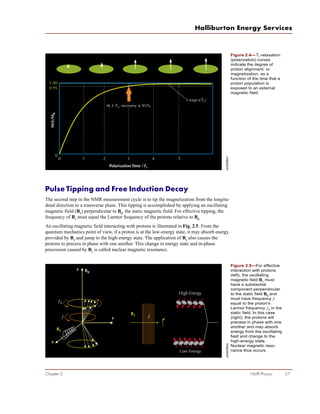 NMR & logging principles-and-applications by halliburton | PDF