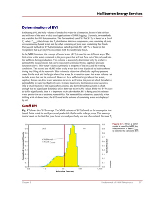 NMR & logging principles-and-applications by halliburton | PDF