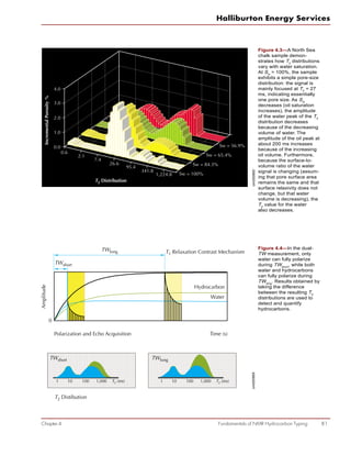 NMR & logging principles-and-applications by halliburton | PDF