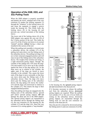 Halliburton_SL_Man.pdf