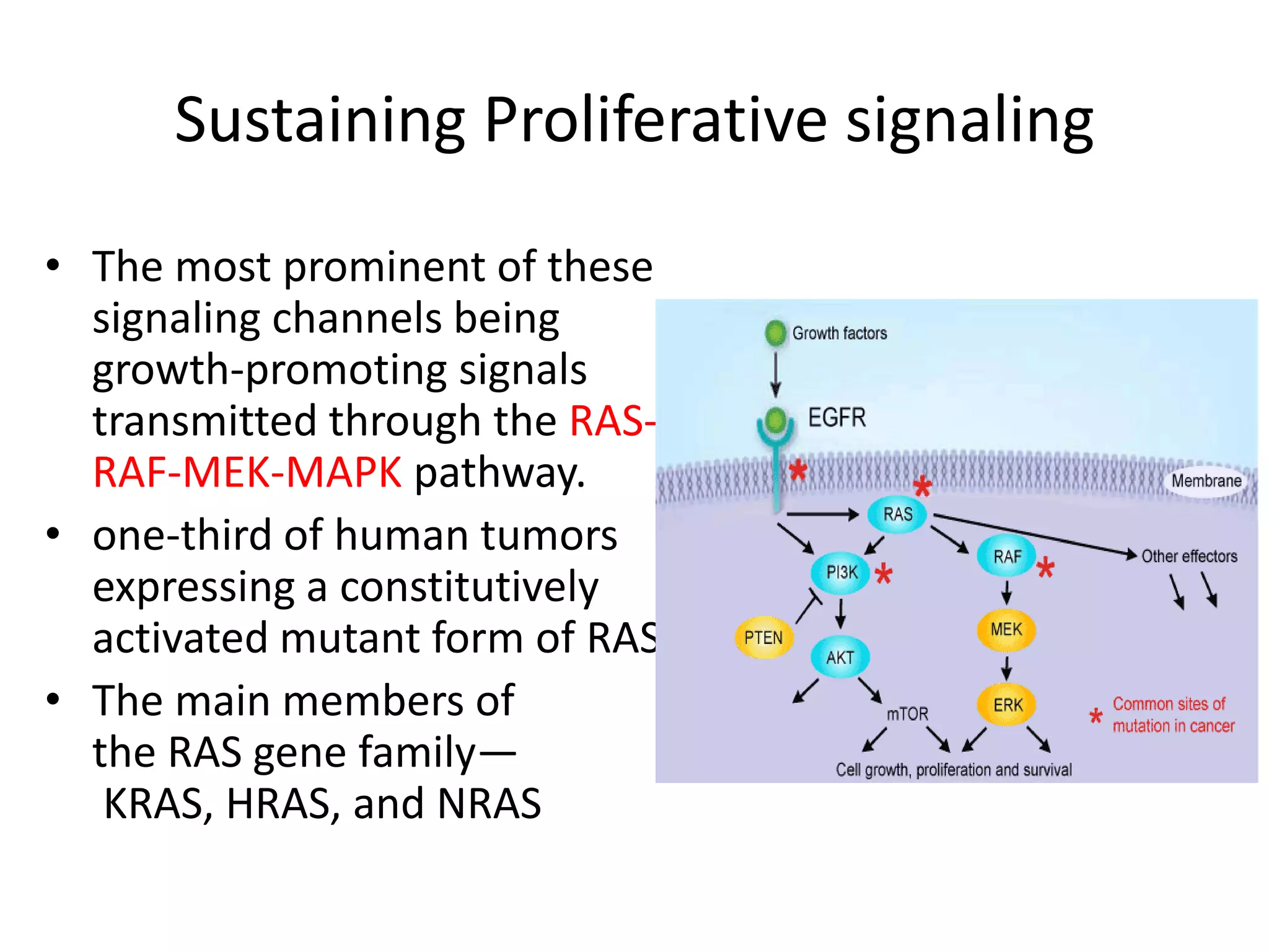 Hallmarks of cancer | PDF
