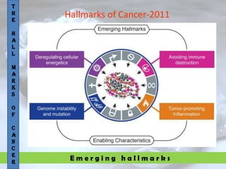 Hallmarks in cancer | PPTX