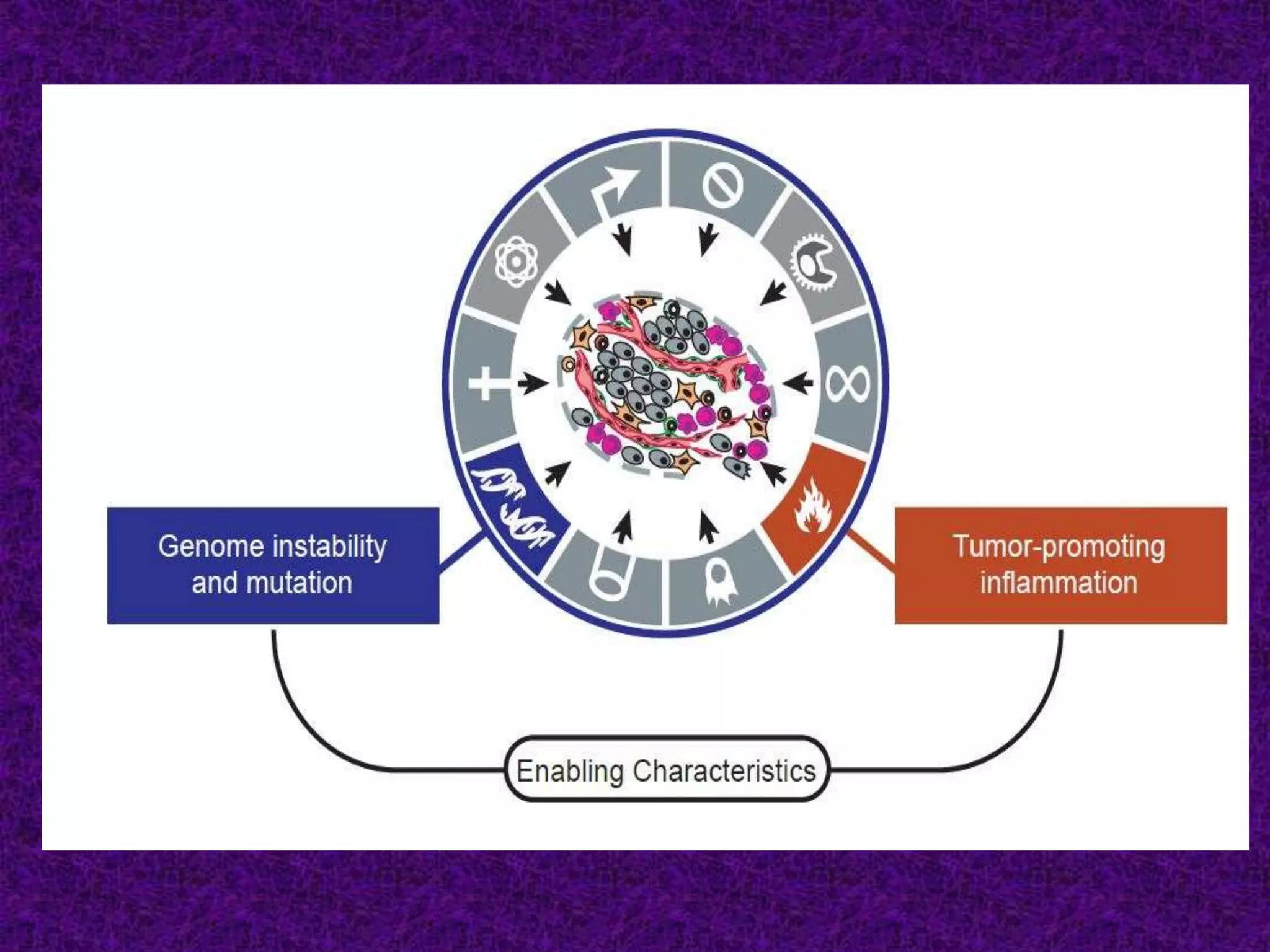 Hallmarks of cancer | PPTX