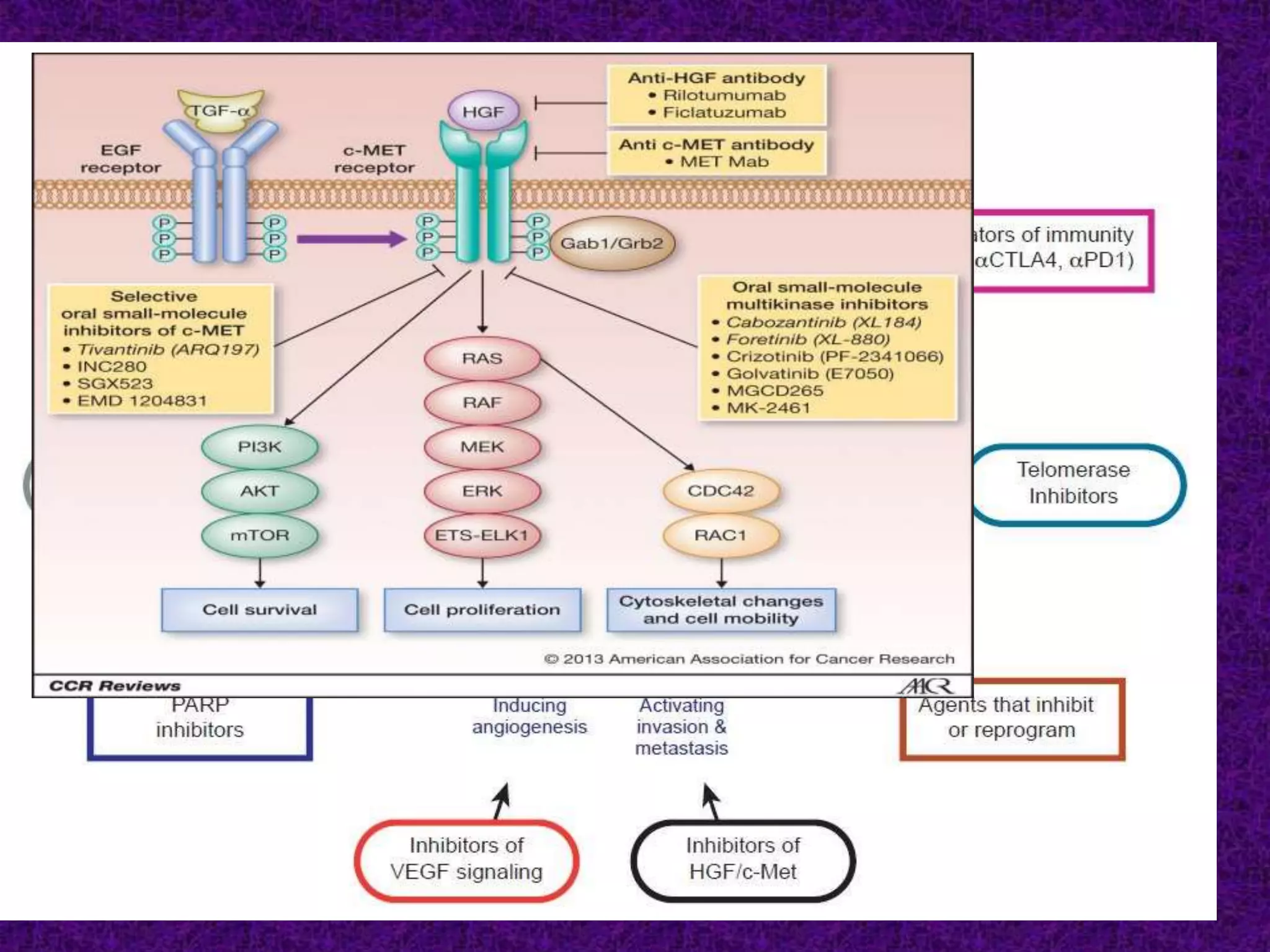 Hallmarks of cancer | PPTX