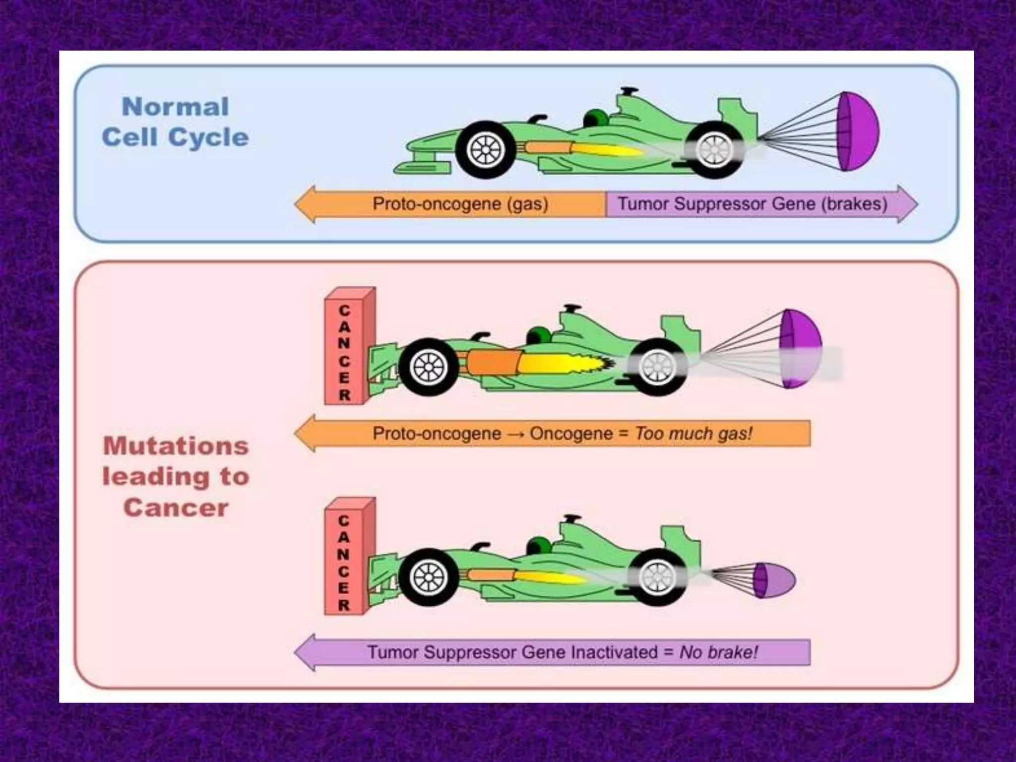 Hallmarks of cancer | PPTX