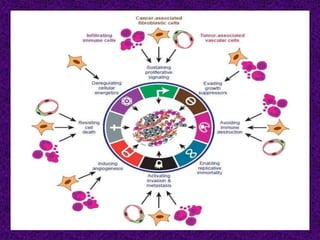 Hallmarks of cancer | PPTX