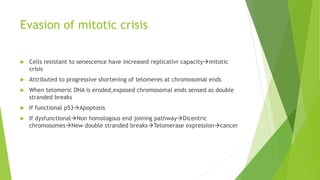 HALLMARKS OF CANCER.pptx