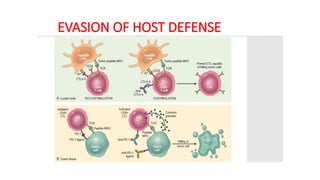 HALLMARKS OF CANCER.pptx - Eight hallmarks of cancer | PPTX