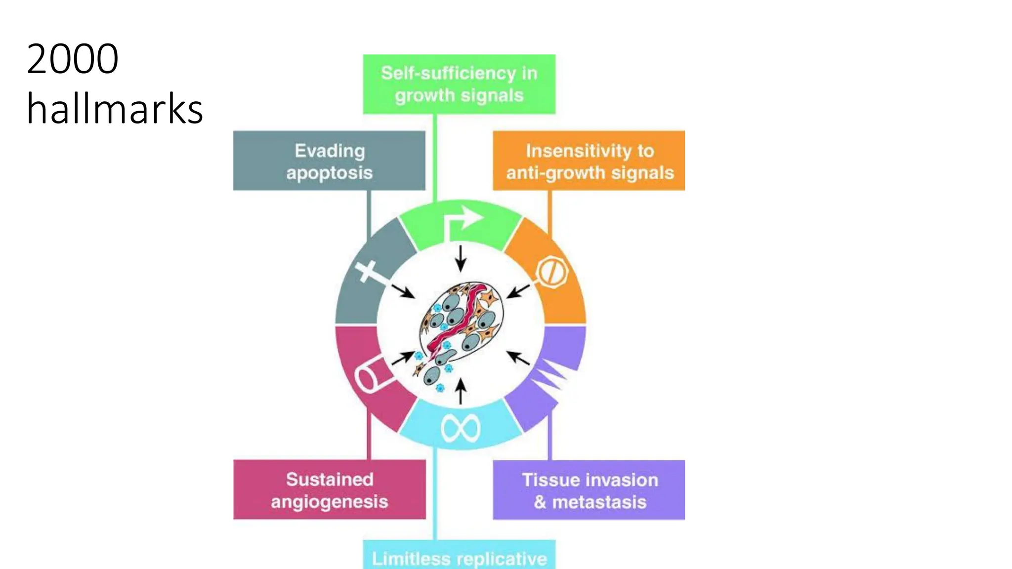 Hallmarks of cancer.pdf cancer introduction | PPT