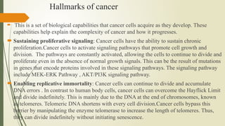 Hallmarks of cancer and targets of therapy pharmacology YR2S2(1).pptx