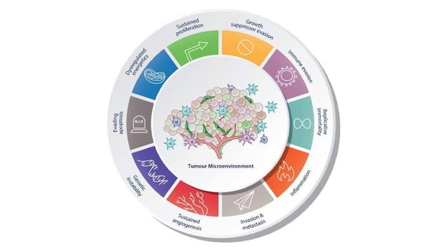 Hallmarks of cancer and Tumor micro enviorment and tumerogenesis.pptx