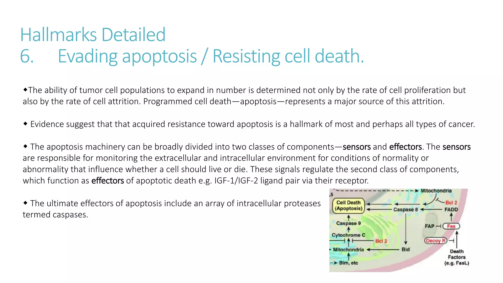 Hallmarks of Cancer | PPTX
