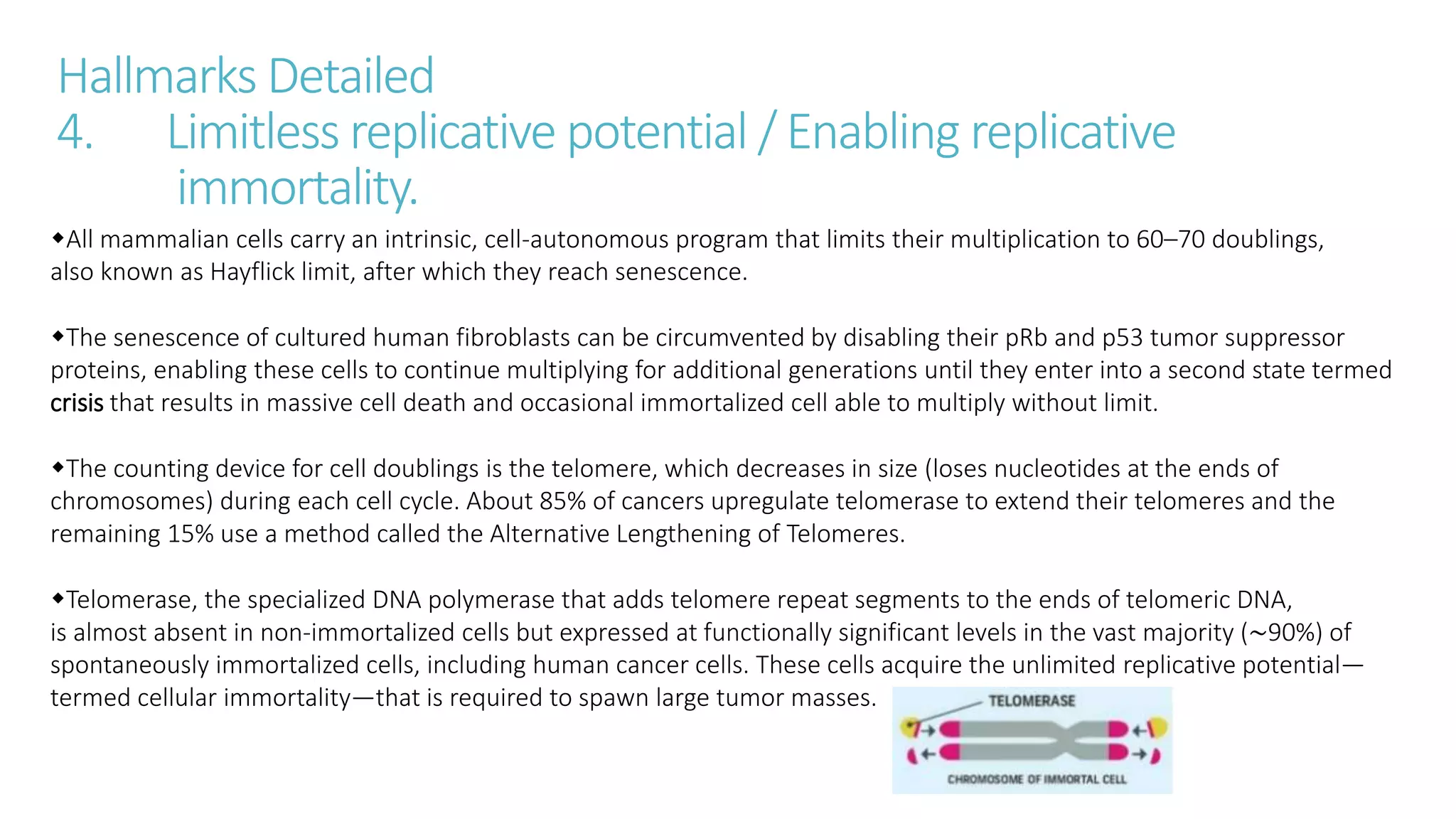 Hallmarks of Cancer | PPTX