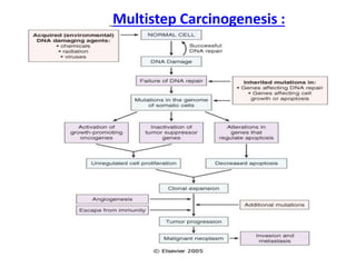 Hallmarks of cancer & its clinical aspects.ppt