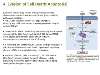 Hallmarks of cancer & its clinical aspects.ppt
