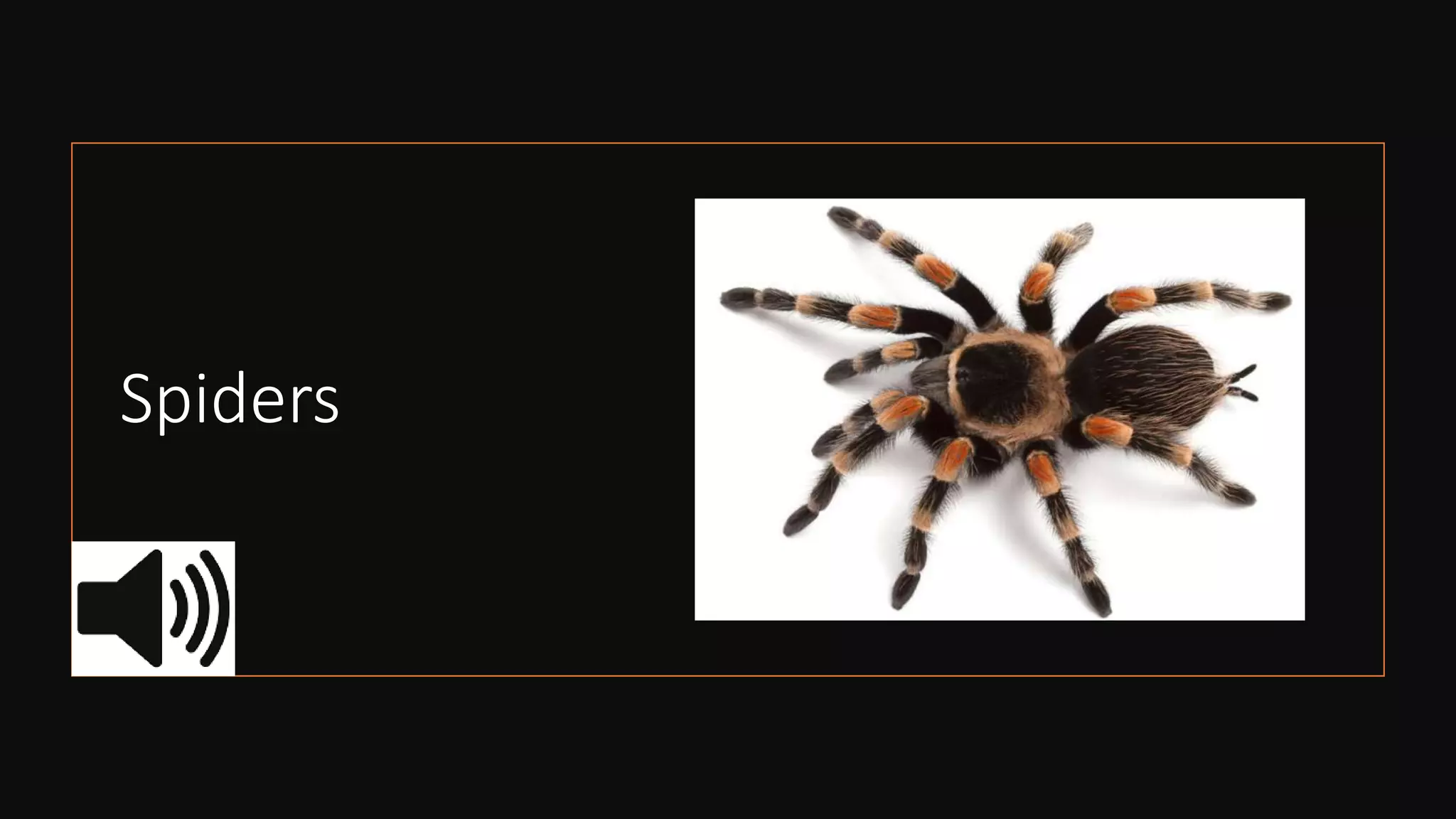 halloween-vocabulary-and-sounds-games-warmers-coolers_145675.pptx