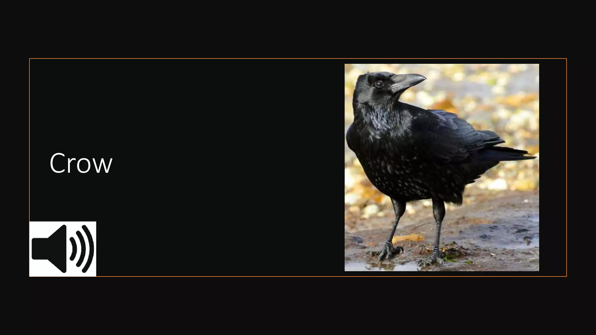 halloween-vocabulary-and-sounds-games-warmers-coolers_145675.pptx