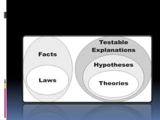 lydia Halls theory | PPTX