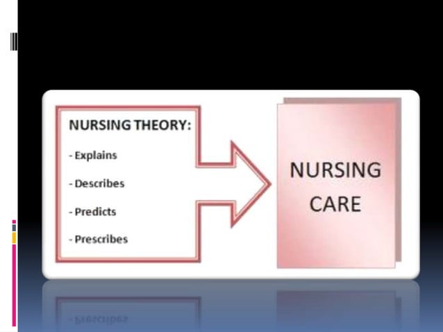 lydia Halls theory | PPTX | Parenting Babies and Toddlers | Parenting