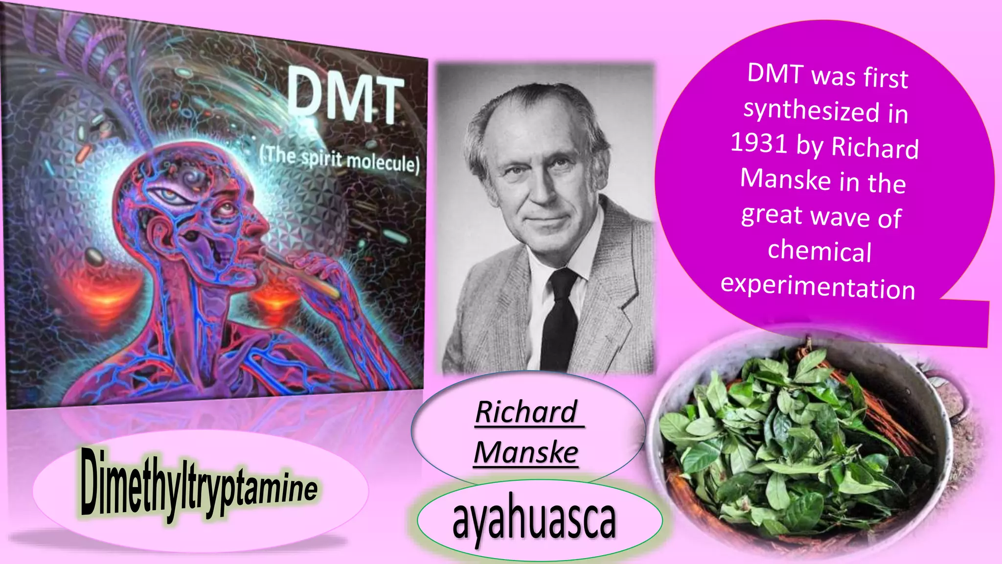 Hallucinogenic drugs | PPTX